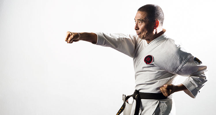 Siempre en guardia . . . | KARATE y algo más ...
