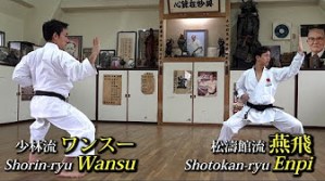 Kata comparison, Wansu of Okinawa Shorin-ryu and Enpi of Shotokan-ryu ...