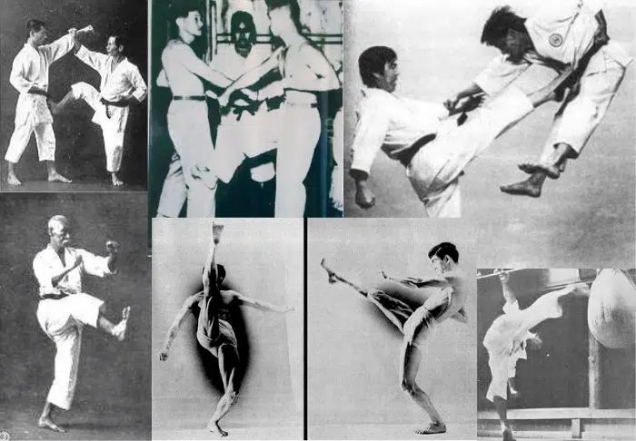 Mae geri qué significa | KARATE y algo más ...